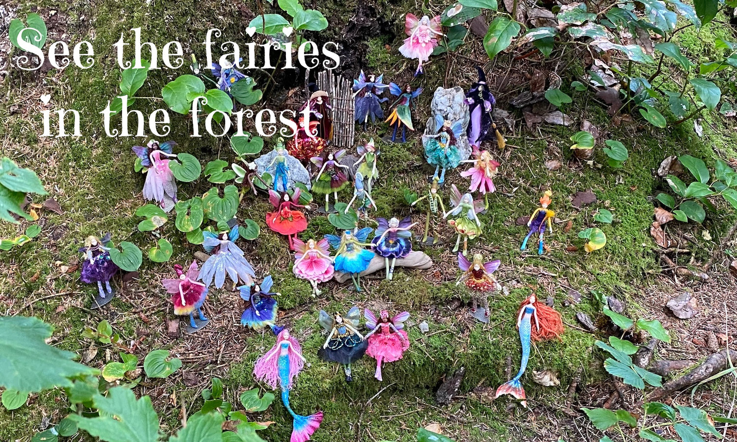 Fae Folk World: Let Your Imagination Take Flight!