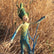 Elf Doll/Fairy - BRINEY | Fae Folk® World – Fae Folk World