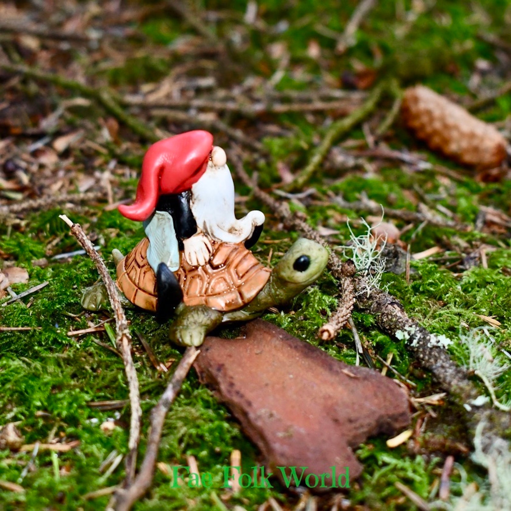 Garden Gnome Riding Turtle | Fae Folk® World – Fae Folk World