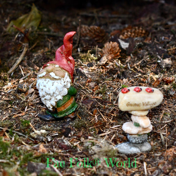 Gnomes & Fairy Gardens – Fae Folk World