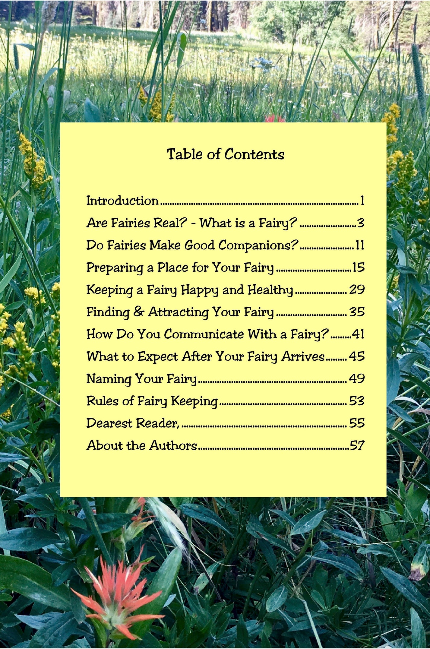 Fairy Book - How to Keep a Fairy | Fae Folk® World – Fae Folk World